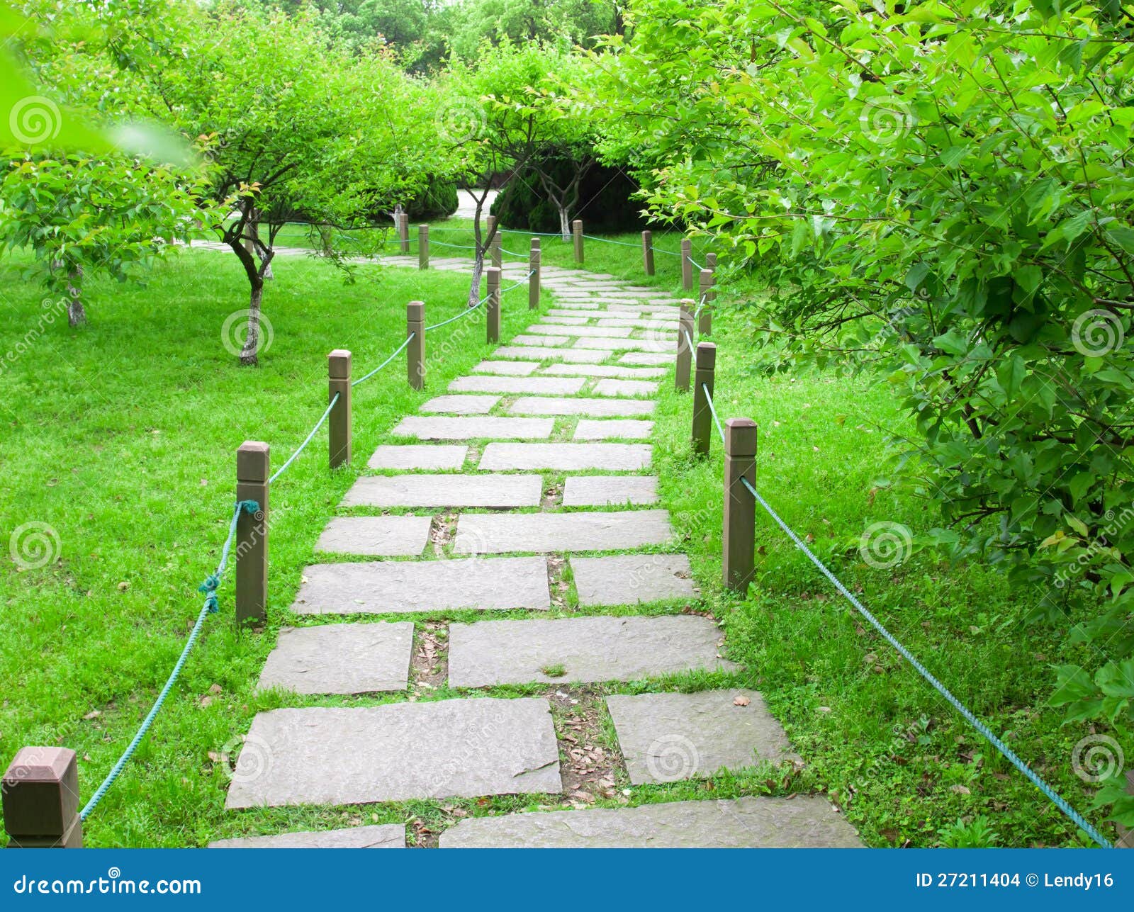 Pathway stock photo. Image of road, leaf, grove, foliage - 27211404