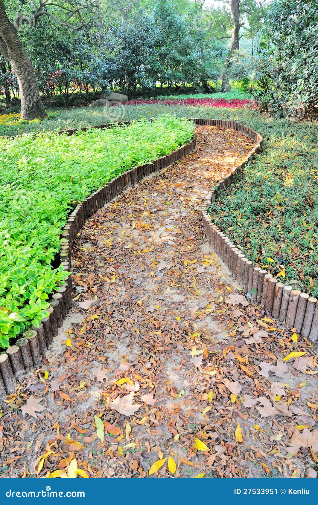 Pathway stock image. Image of track, natural, grass, tree - 27533951
