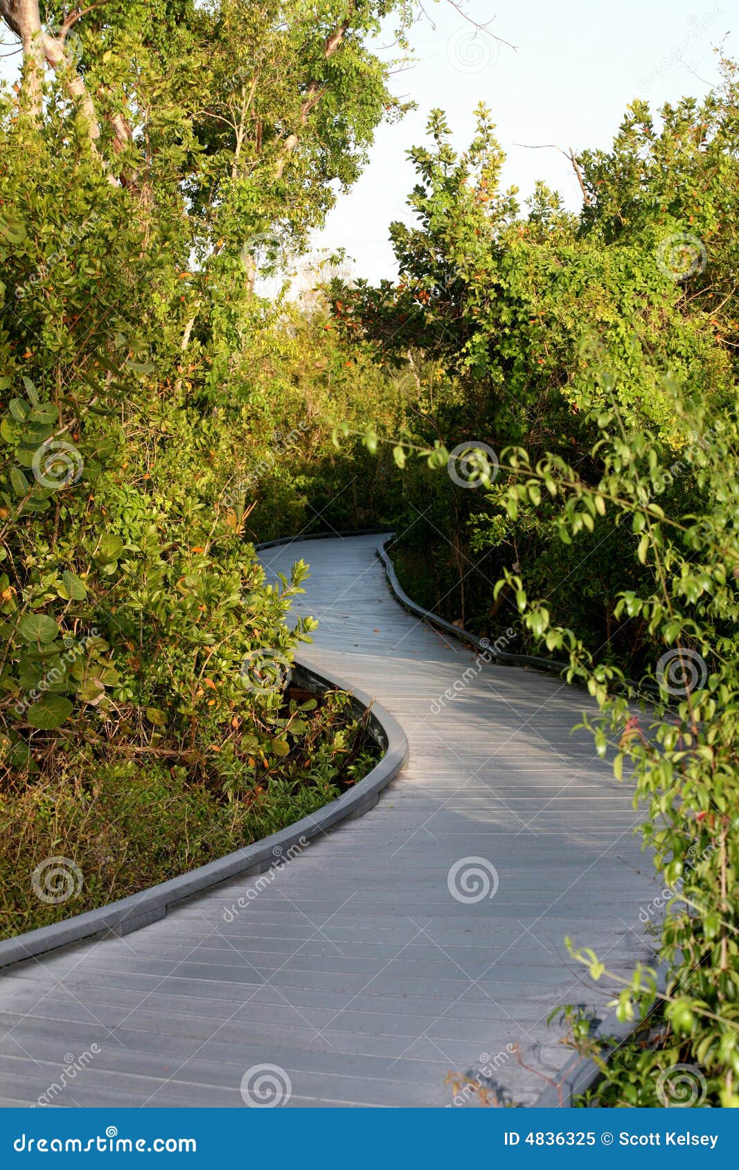 110 Recycled Pathway Stock Photos - Free & Royalty-Free Stock Photos ...