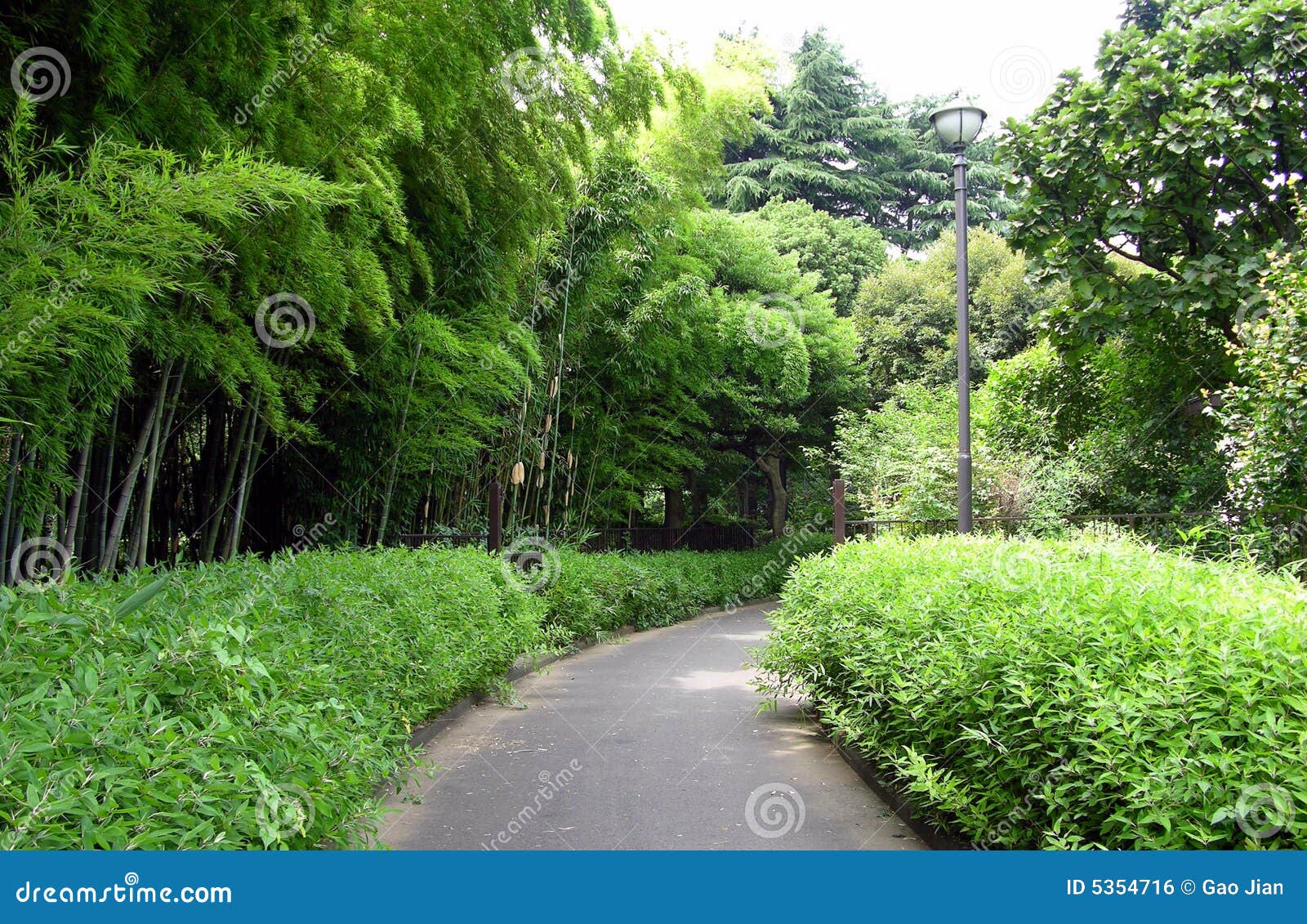 Pathway stock photo. Image of garden, green, cloud, sunshine - 5354716