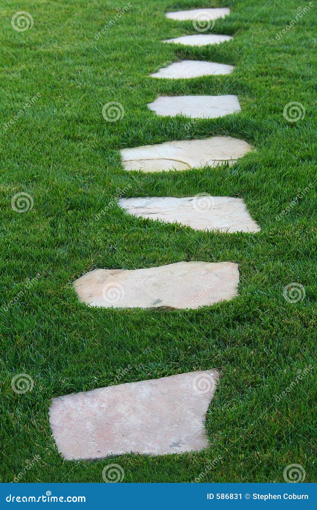 Pathway stock image. Image of quiet, path, symbolism, direction - 586831