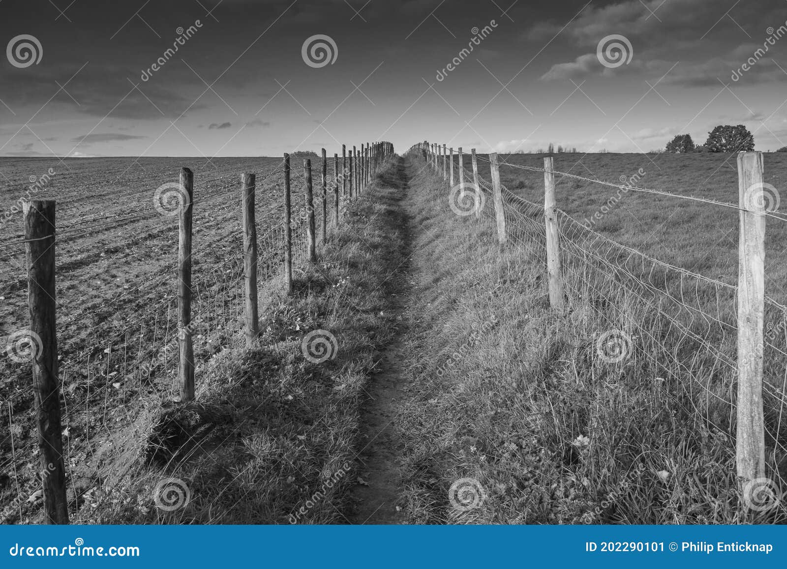 Pathway across field stock image. Image of footpath - 202290101