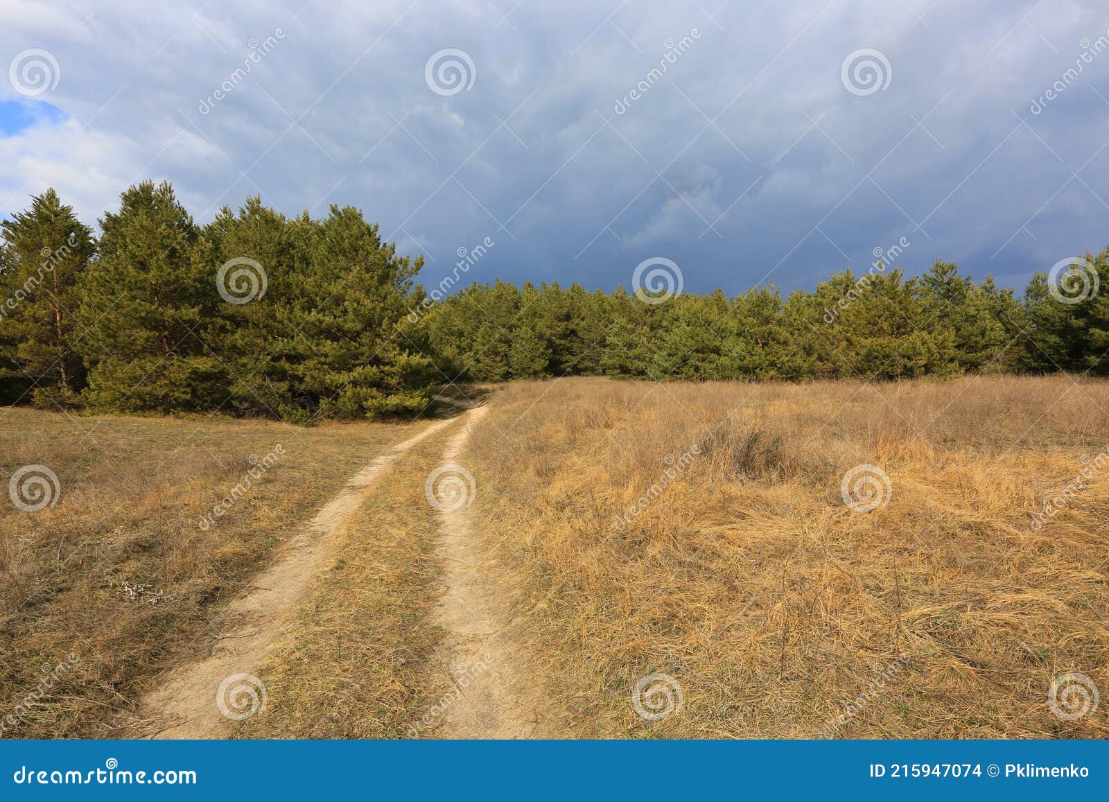 Pathway across meadow stock photo. Image of cross, road - 215947074