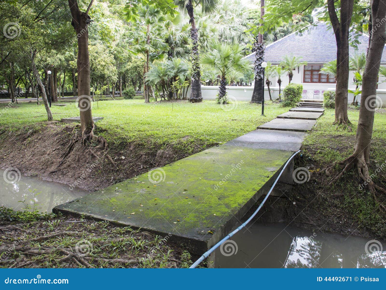 The Pathway Across the Pond Stock Image - Image of landscaped ...
