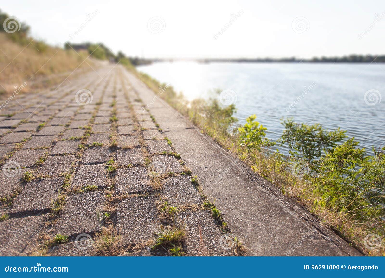 Pathway Along the River Bank Stock Photo - Image of path, natural: 96291800