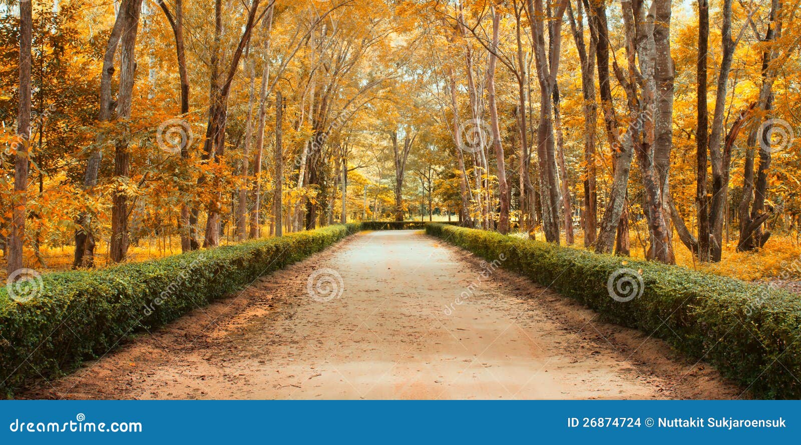Pathway in Autumn Landscape Stock Photo - Image of green, pathway: 26874724