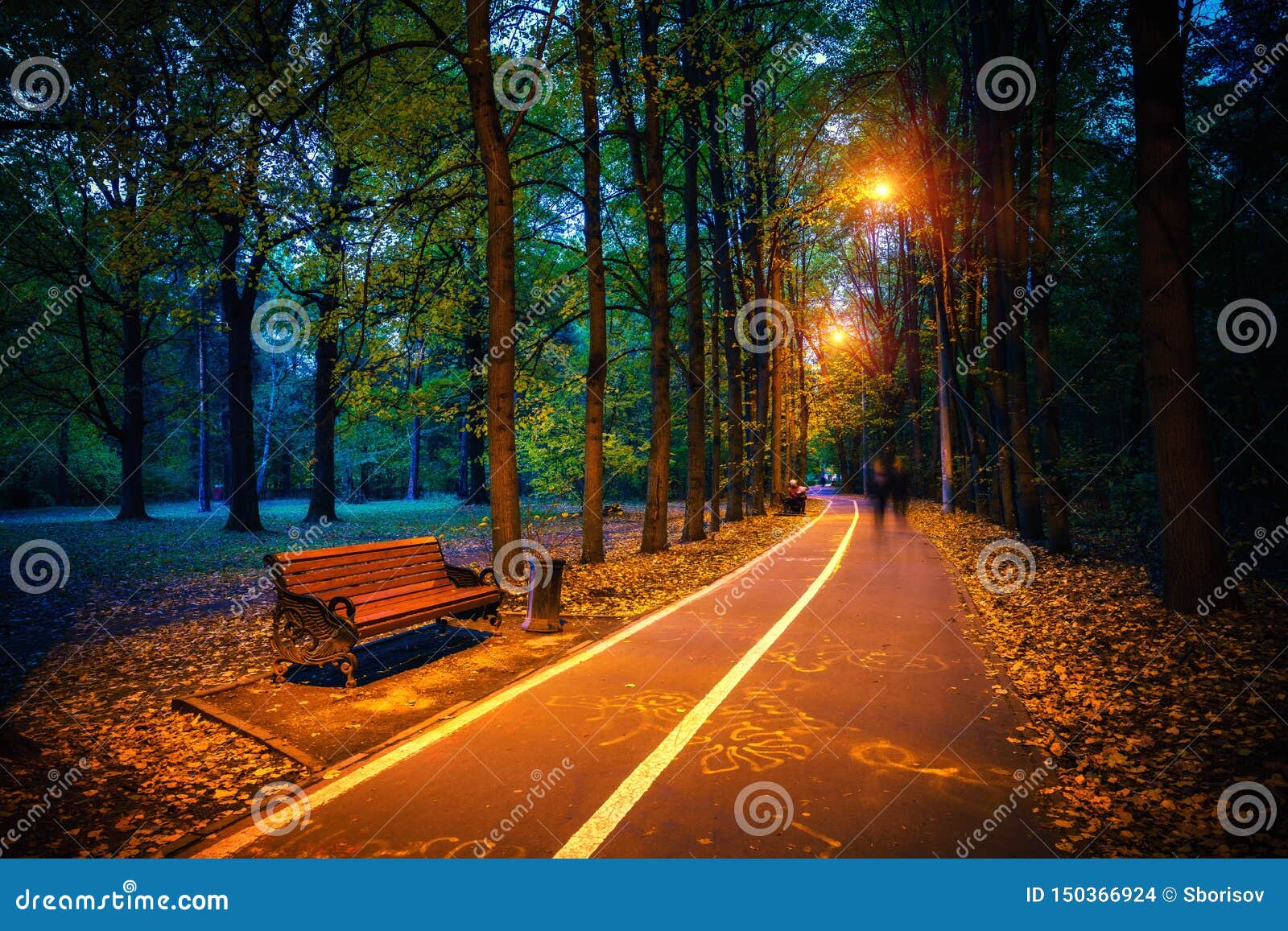 Pathway in Autumn Park at Dust Stock Photo - Image of nature, foliage ...