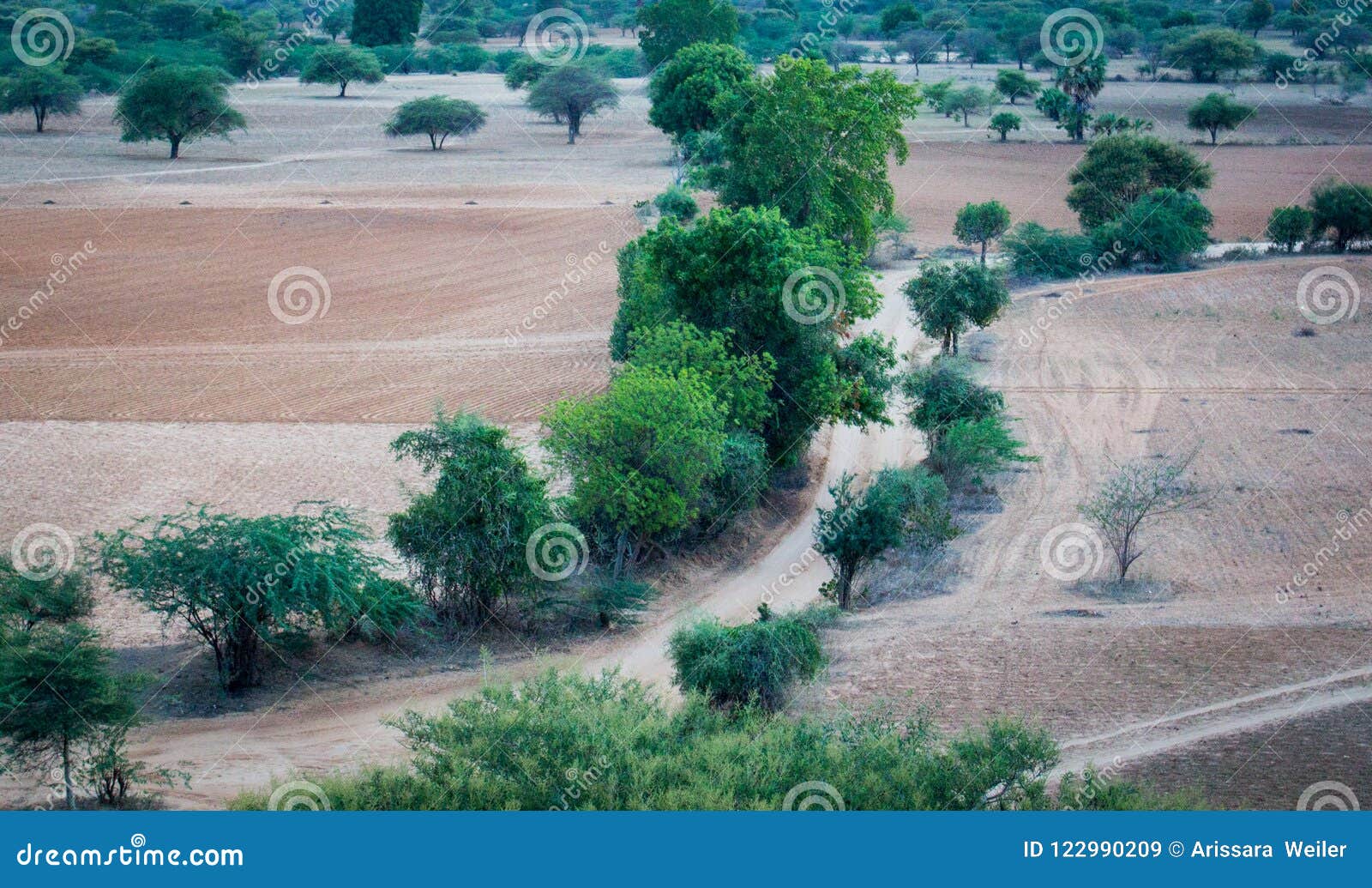 Pathway in Bagan, Myanmar stock image. Image of bagan - 122990209