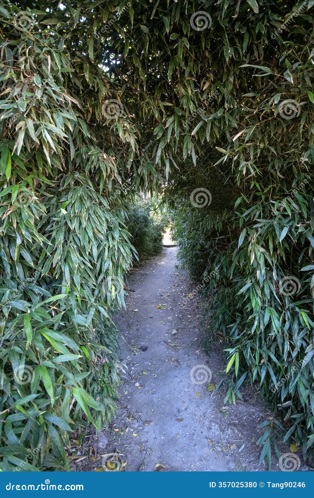 Pathway with Bamboo Leave Inside Yuanmingyuan Park in Beijing Stock ...