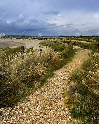 Pathway by beach stock image. Image of seaside, outside - 11888625