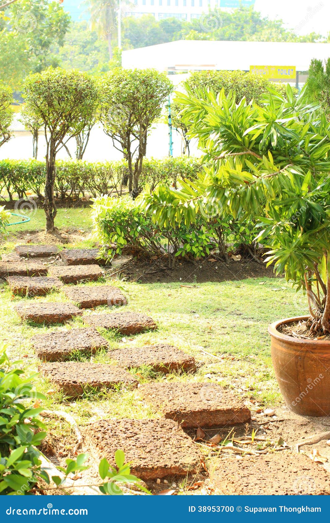 Pathway and Beautiful park stock photo. Image of nature - 38953700
