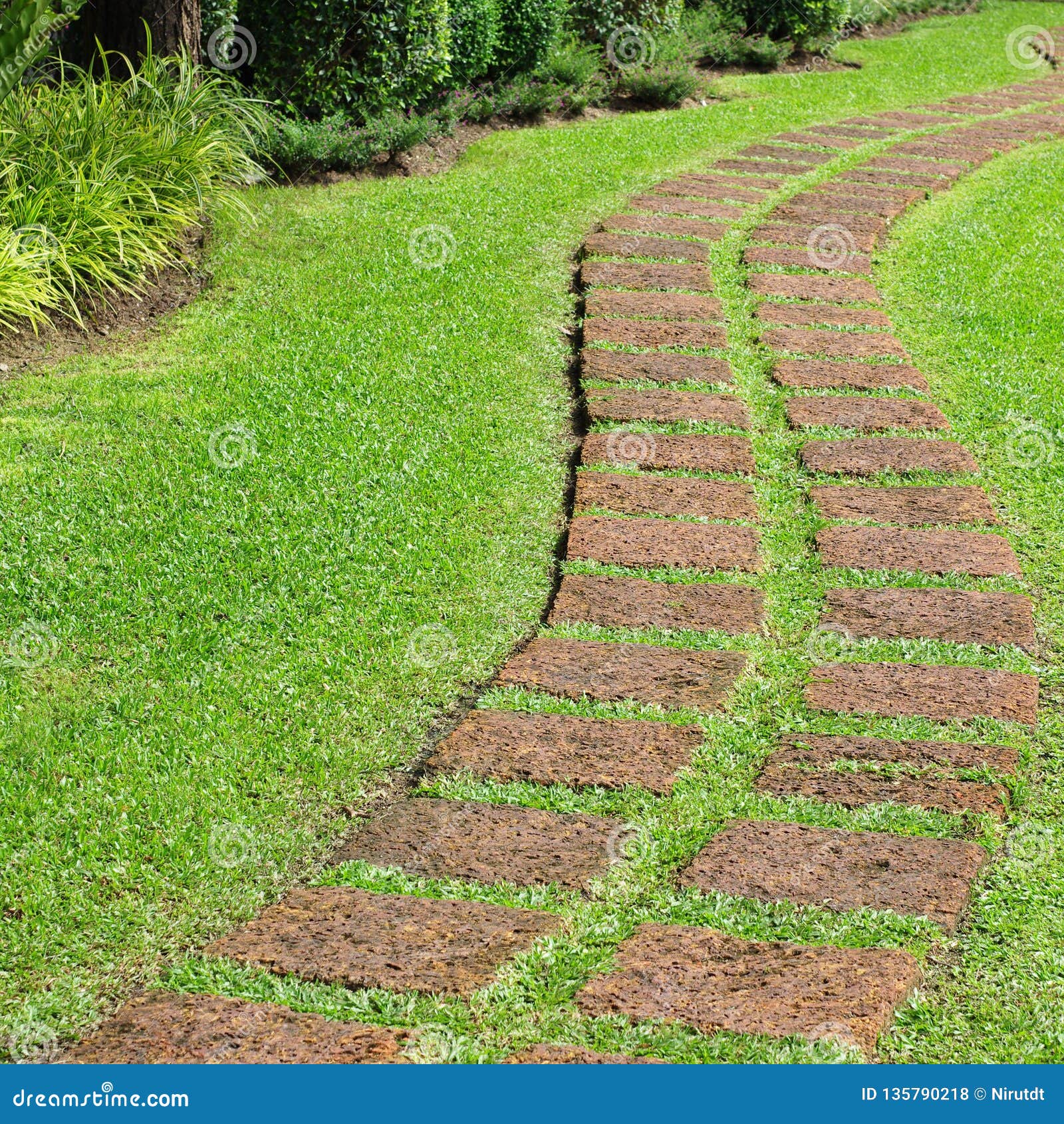 Pathway stock photo. Image of outdoor, ground, outside - 135790218