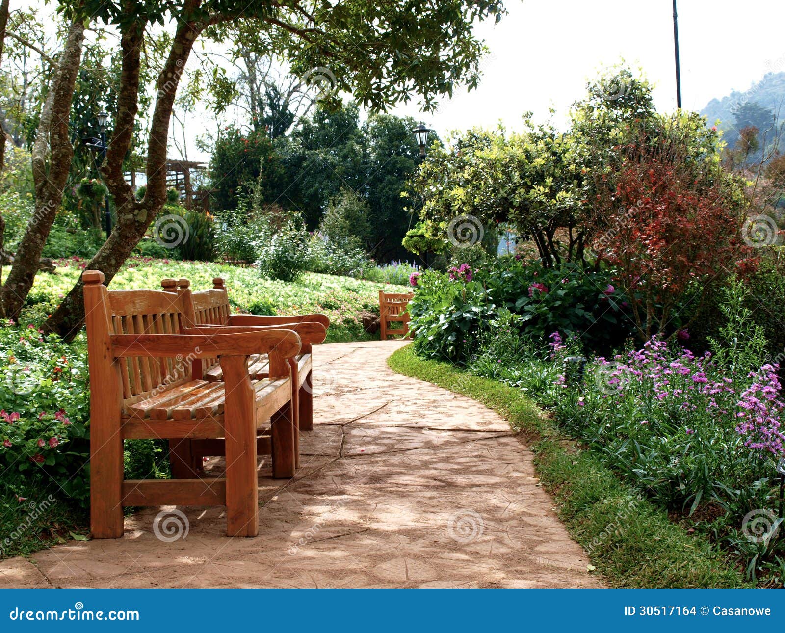 Pathway and Benches in Park Stock Photo - Image of outdoor, leaves ...