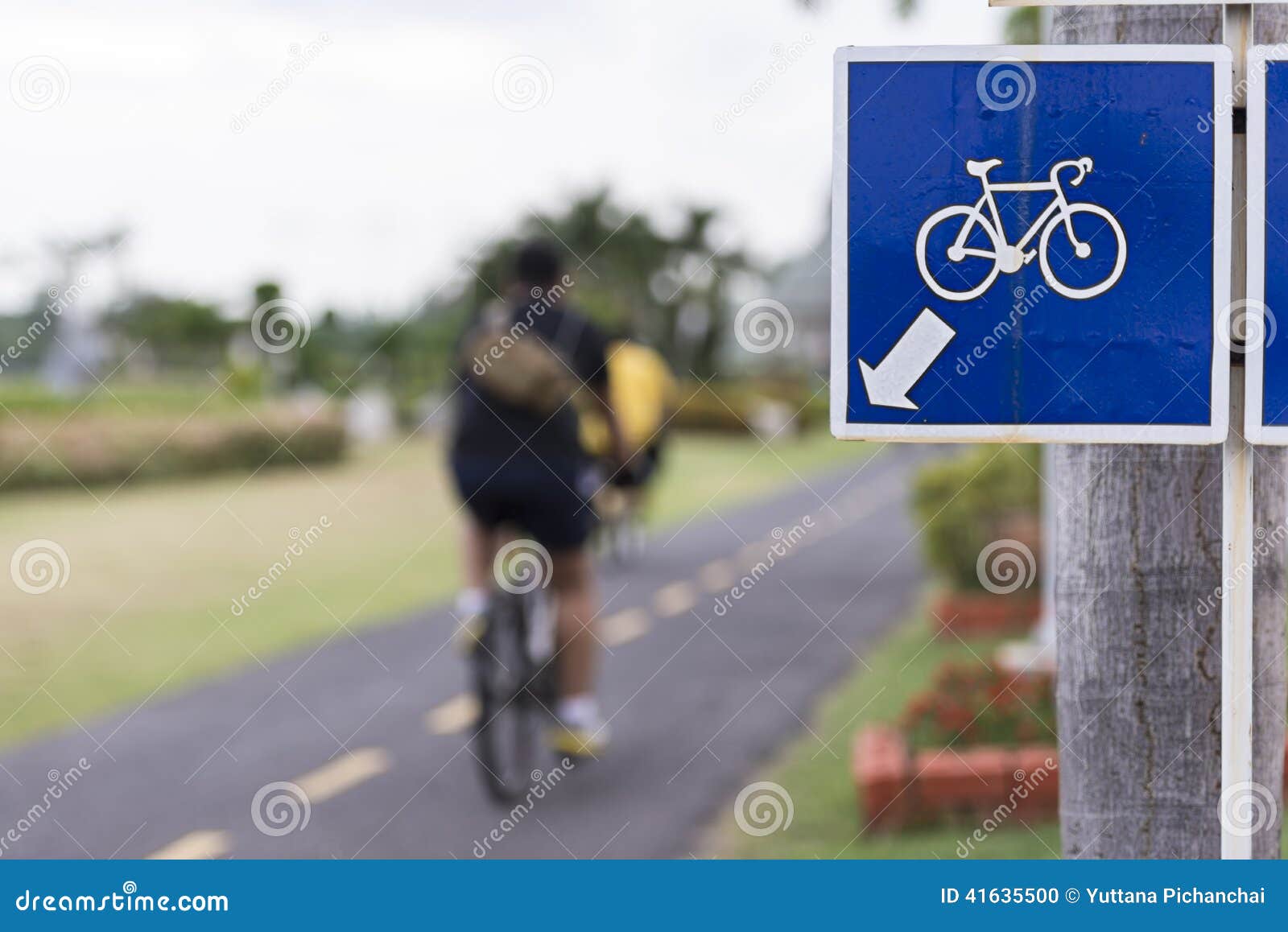Pathway for Bike and Cyclists Stock Photo - Image of park, riding: 41635500