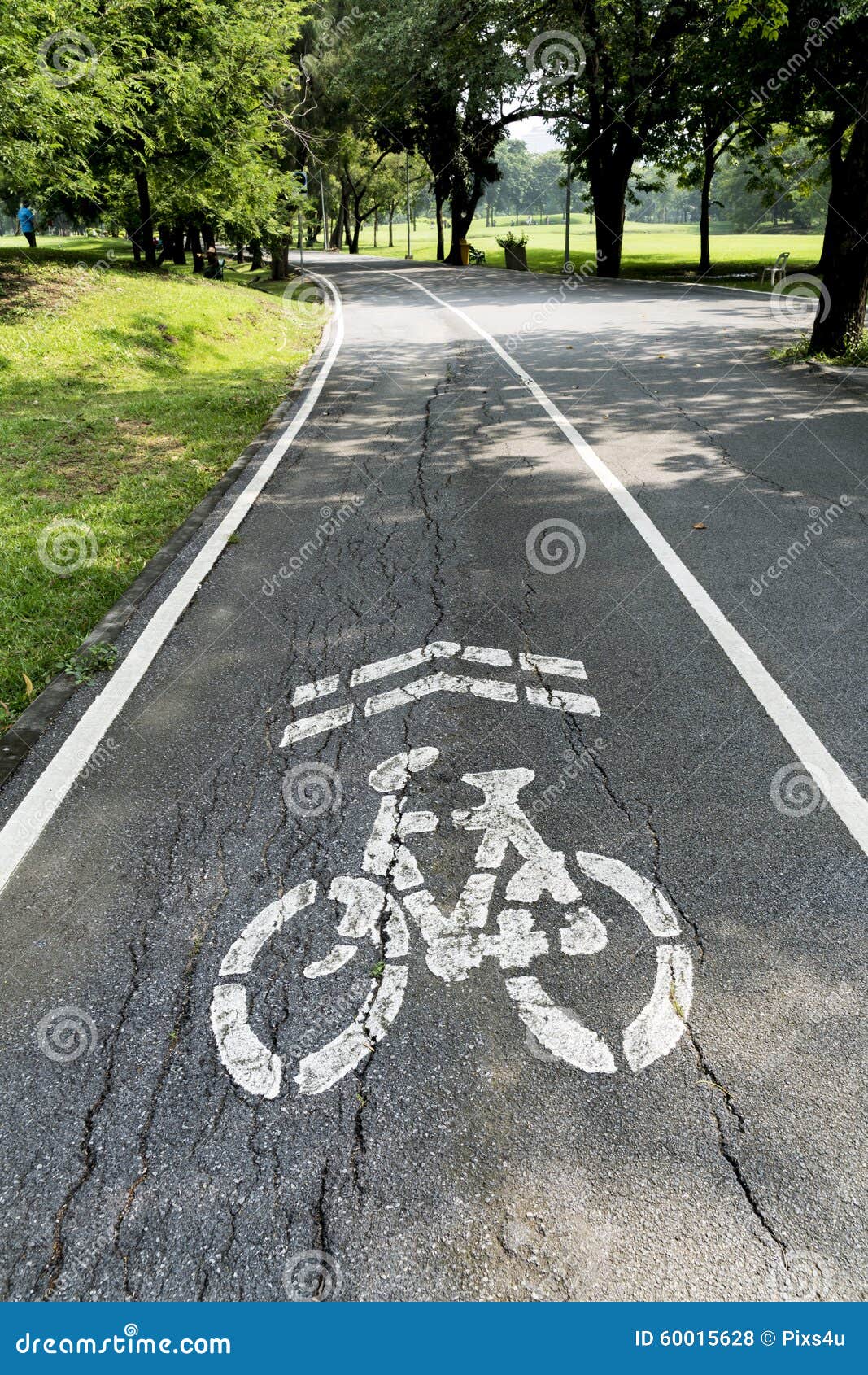 Pathway for Bike and Cyclists in the Park Stock Photo - Image of ...