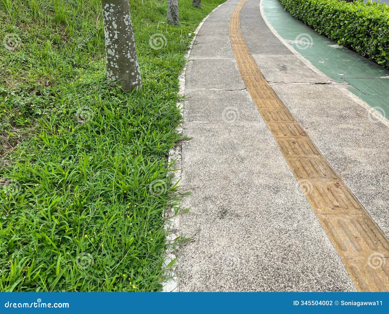 A Pathway Bordered by Grass and Trees, Designed for Walking or Cycling ...
