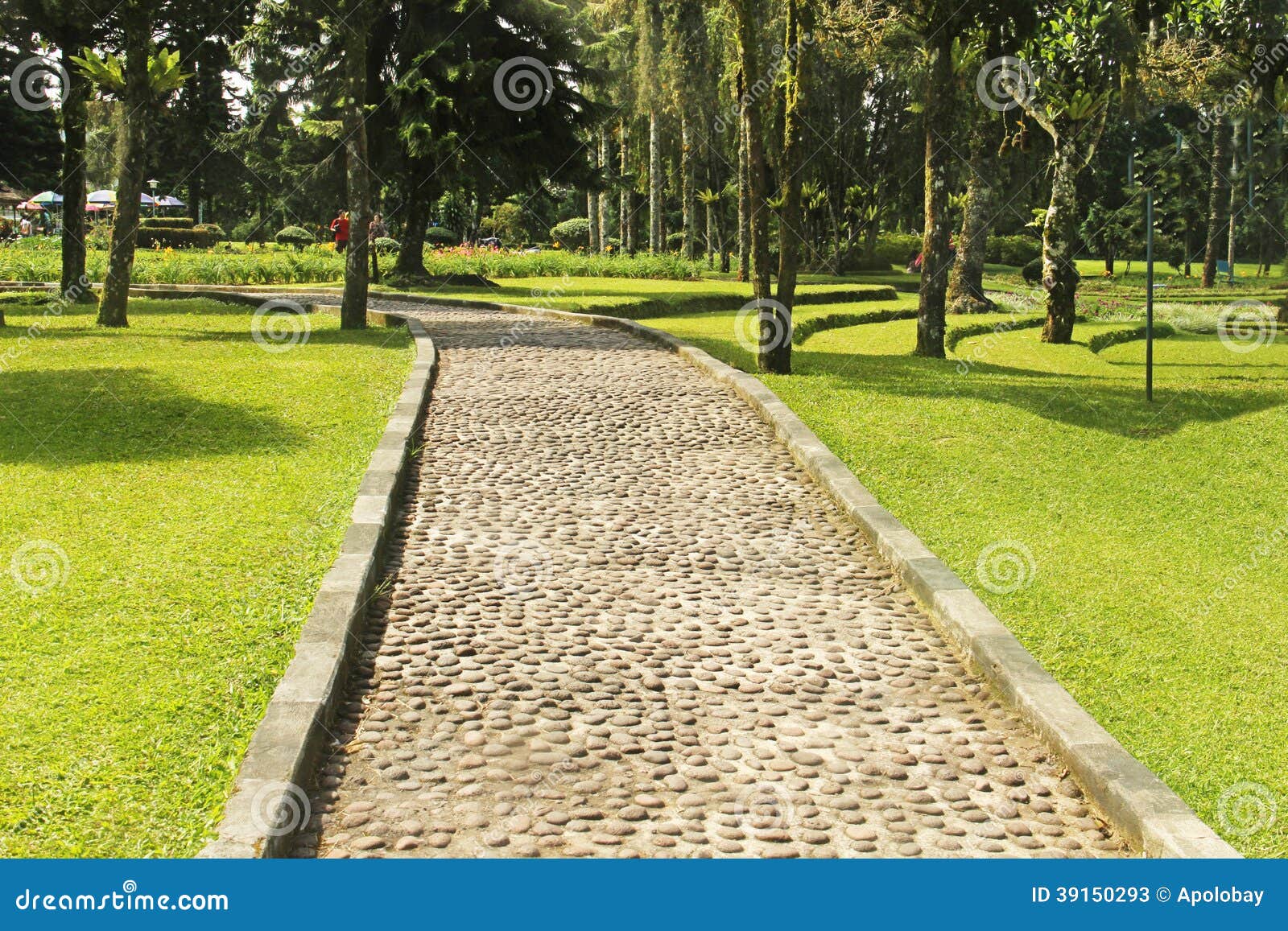 Pathway In A Botanical Garden Royalty-Free Stock Photo | CartoonDealer ...