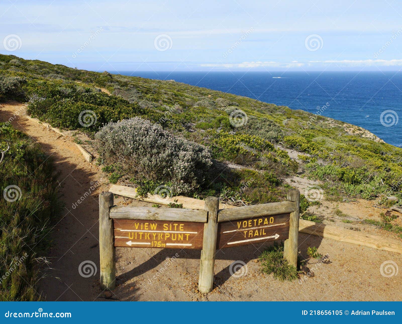 Pathway Branching Off in Different Directions Stock Image - Image of ...