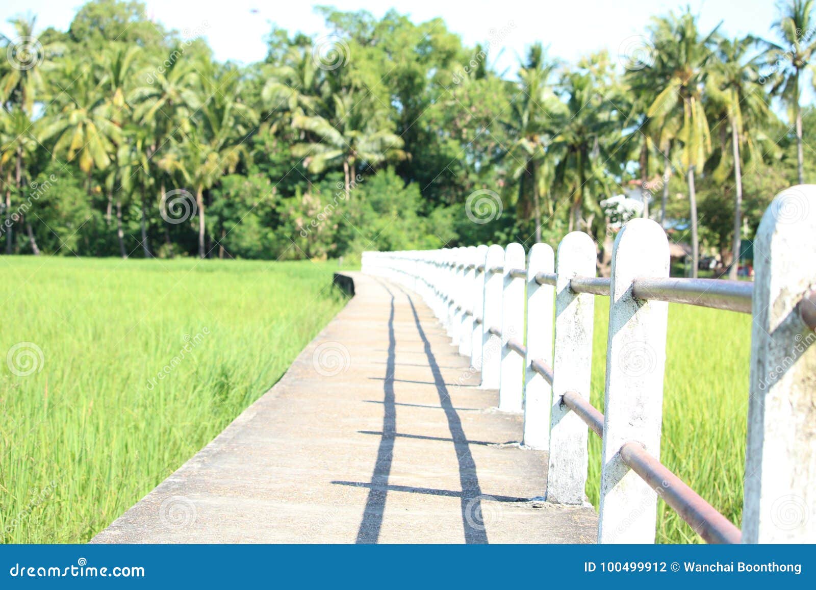 Pathway bridge stock photo. Image of pathway, runway - 100499912