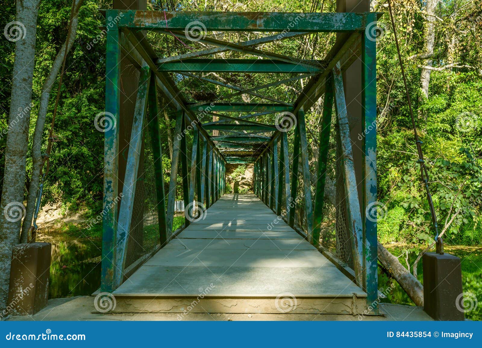 Pathway stock photo. Image of pathway, nature, lake, green - 84435854