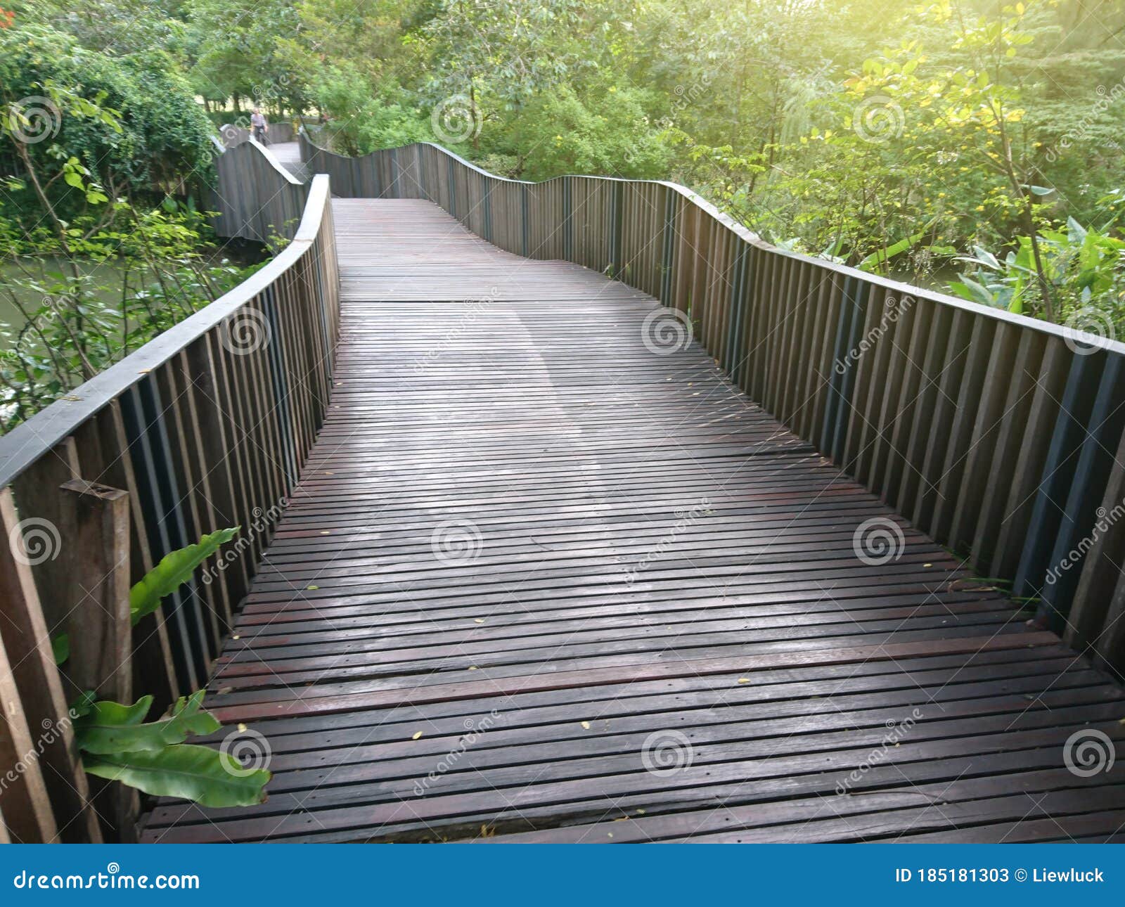 Pathway with Bridge in the Park Stock Image - Image of leaf, garden ...
