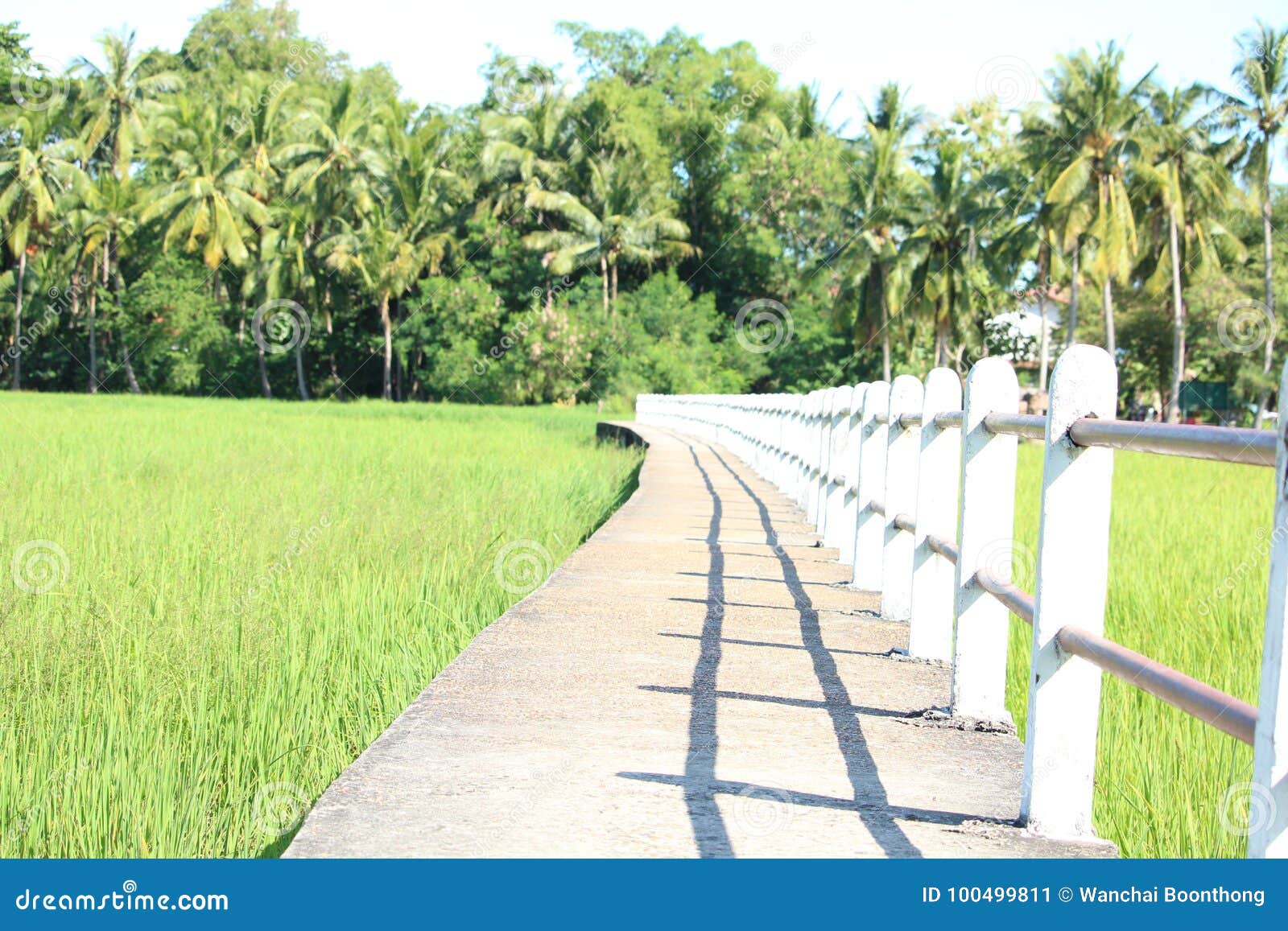 Pathway bridge stock image. Image of enhancement, surmount - 100499811