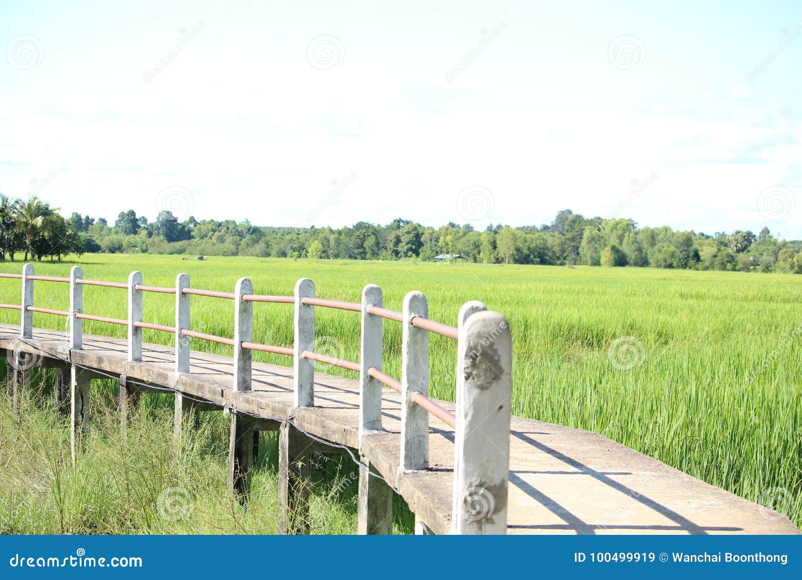 Pathway bridge stock image. Image of link, land, water - 100499919