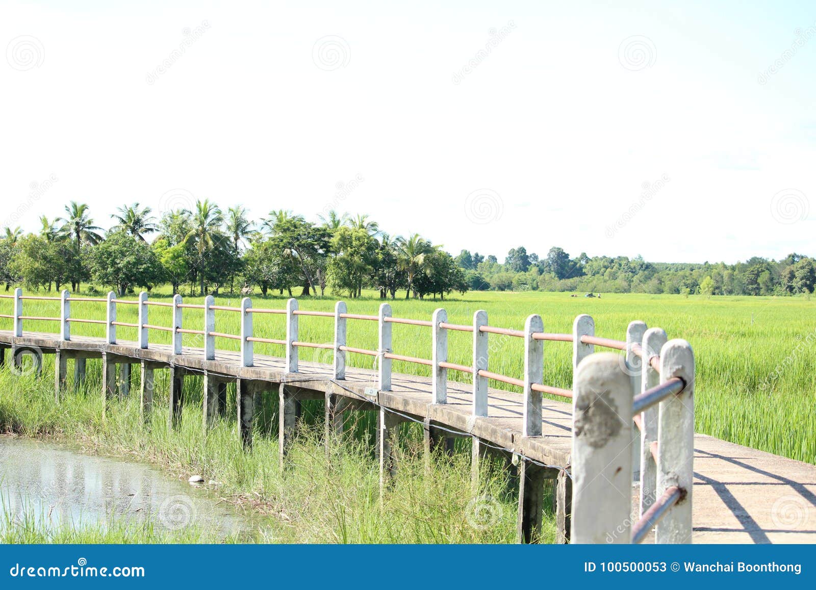 Pathway bridge stock image. Image of pathway, path, bestride - 100500053