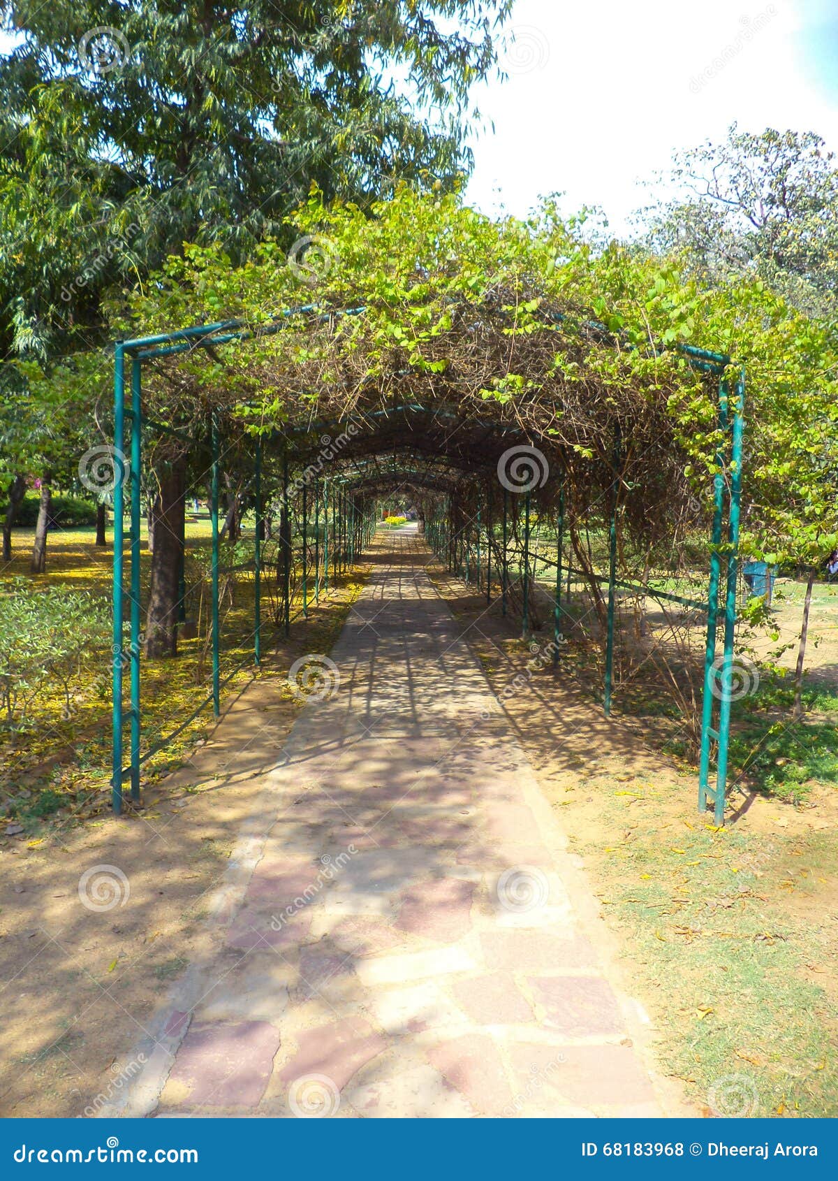 Pathway stock photo. Image of garden, beautiful, walkway - 68183968