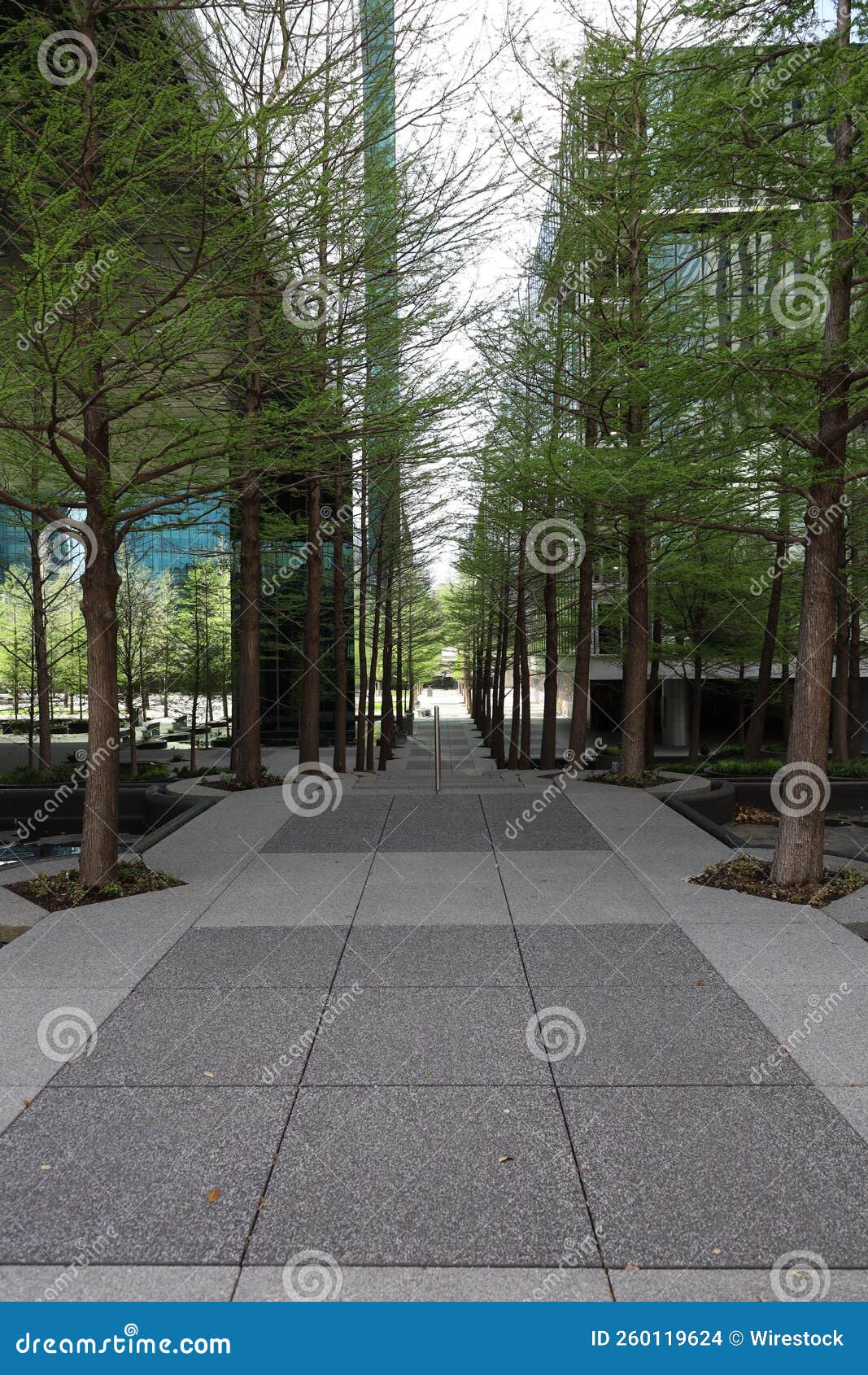 Pathway in the Building Surrounded by Trees Stock Photo - Image of ...