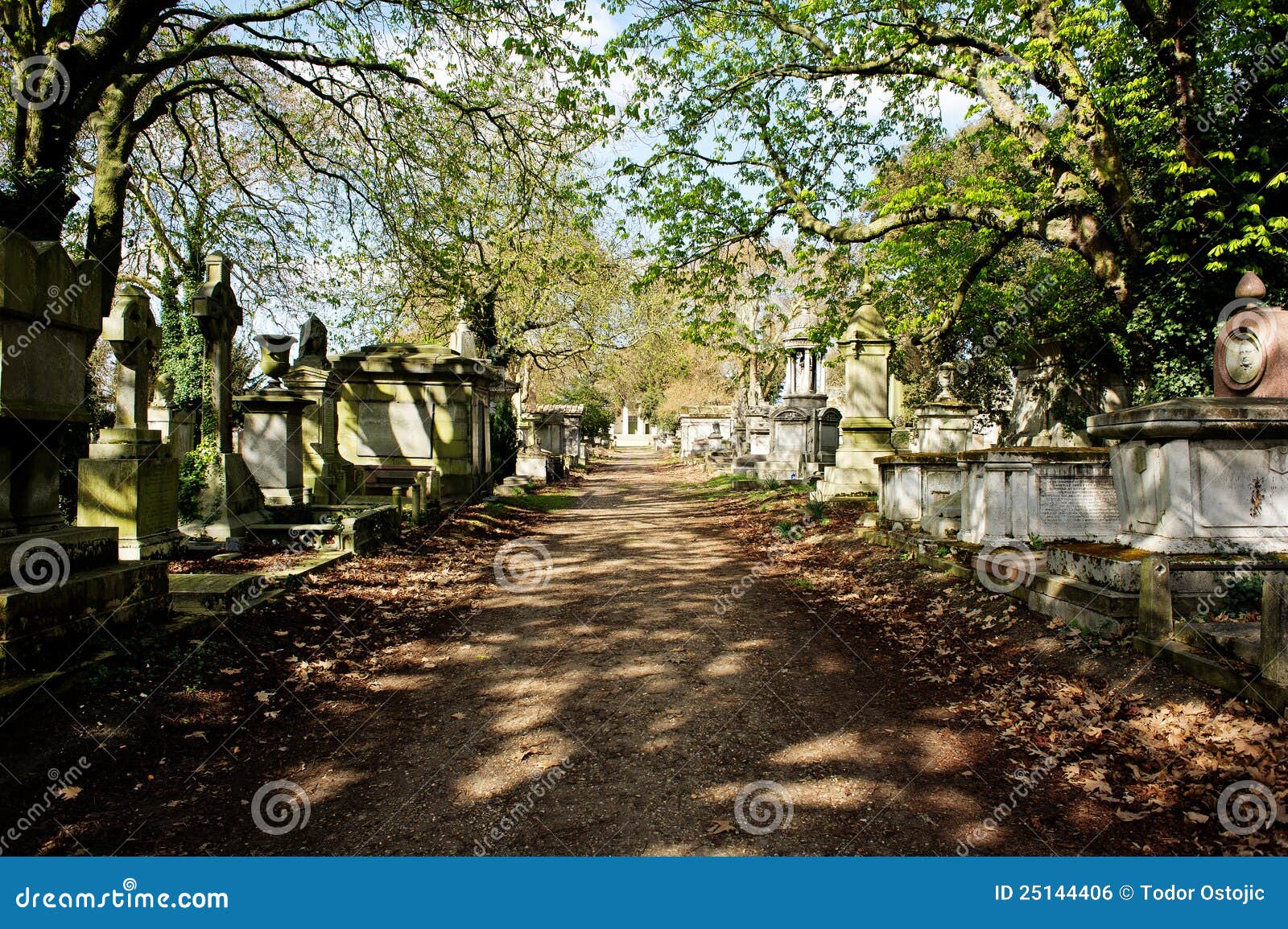 Pathway in Cemetery Grounds Stock Photo - Image of bodies, bury: 25144406
