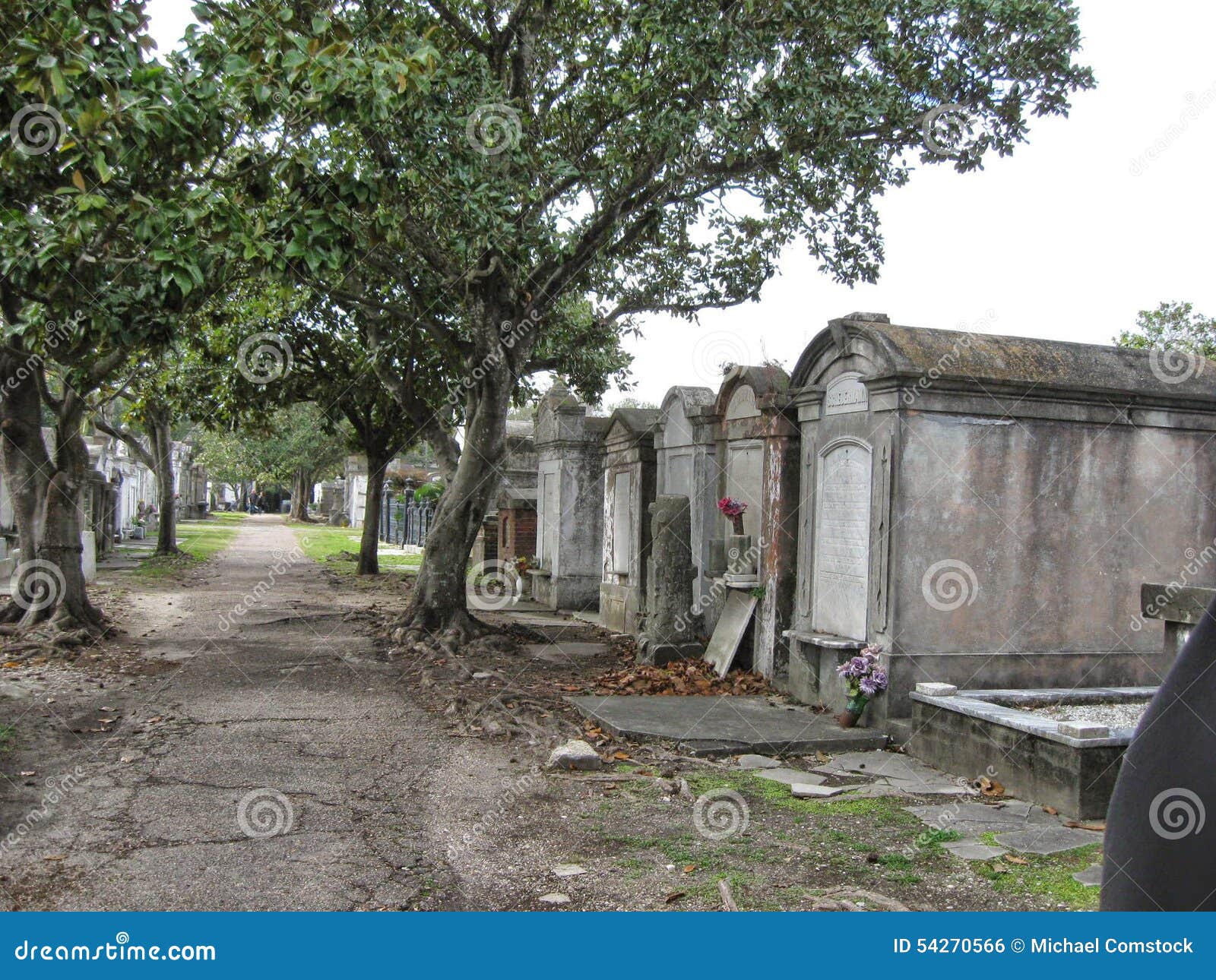 A pathway in a cemetery stock photo. Image of look, path - 54270566