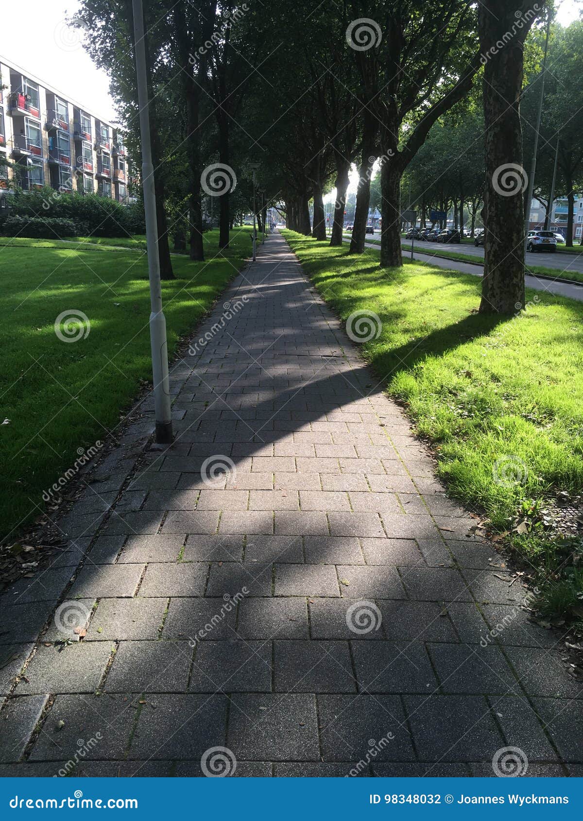Pathway in city stock photo. Image of road, city, buildings - 98348032