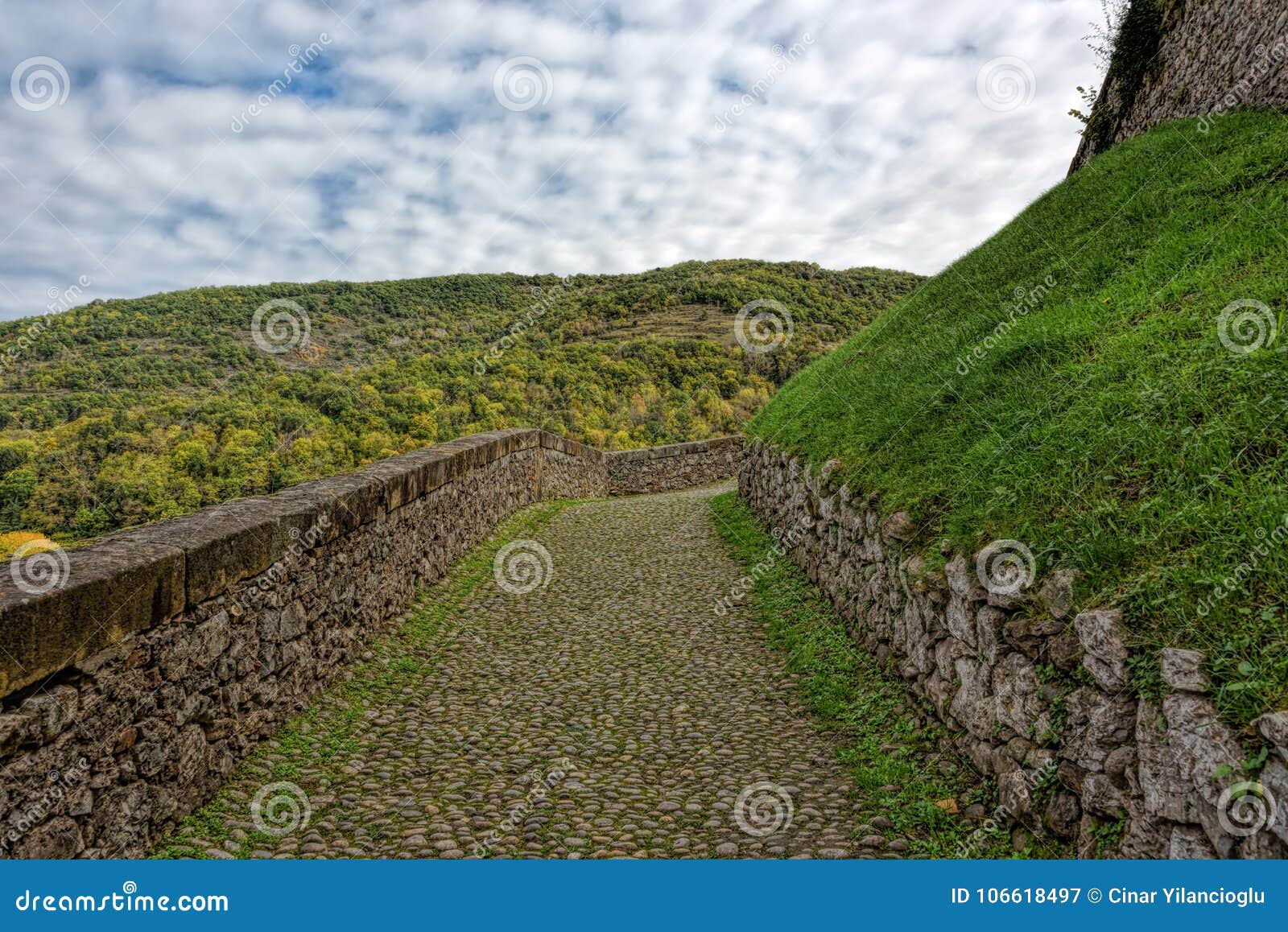 Pathway with Cobblestone with Green Growth Leading Up the Hill Stock ...