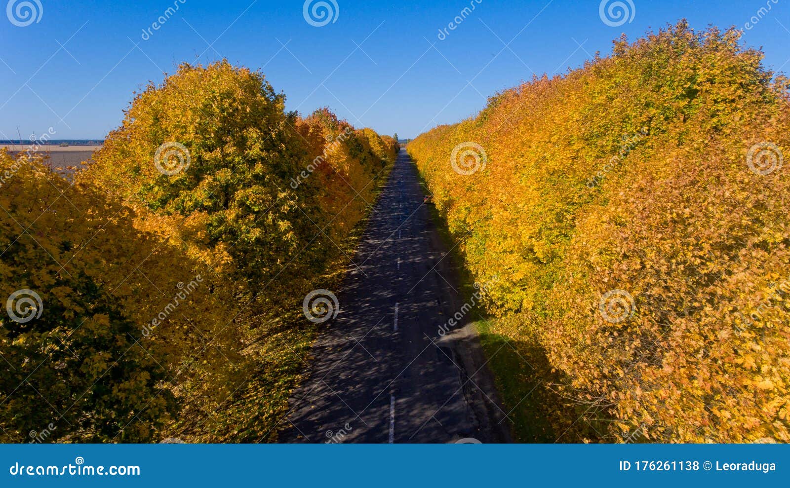 Pathway between Colorful Autumn Trees. Stock Photo - Image of nature ...