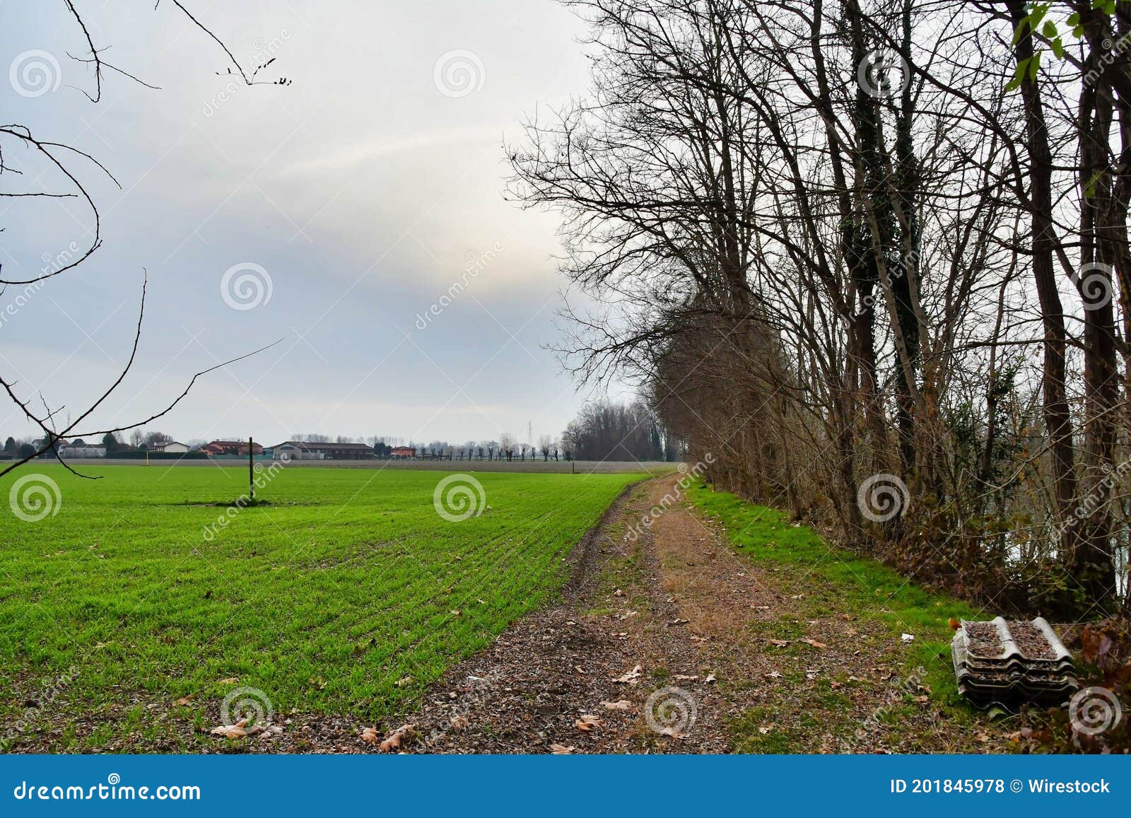 Pathway in the countryside stock photo. Image of clouds - 201845978