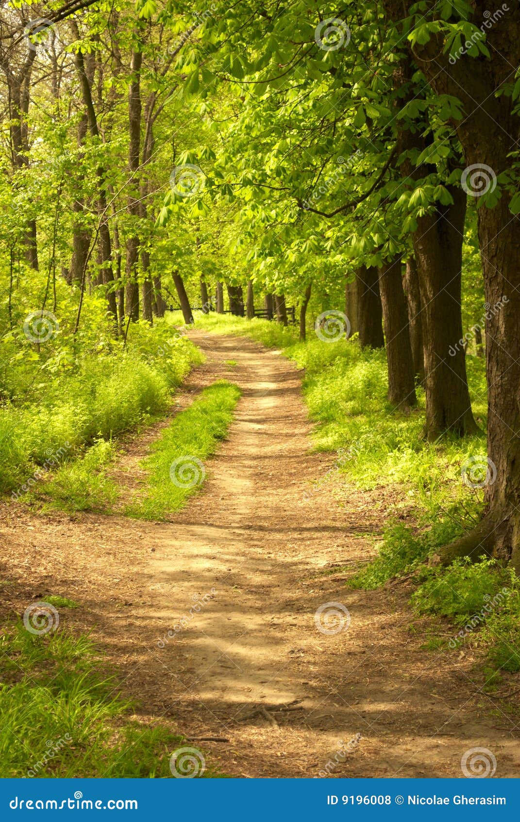 Pathway in countryside stock photo. Image of peaceful - 9196008