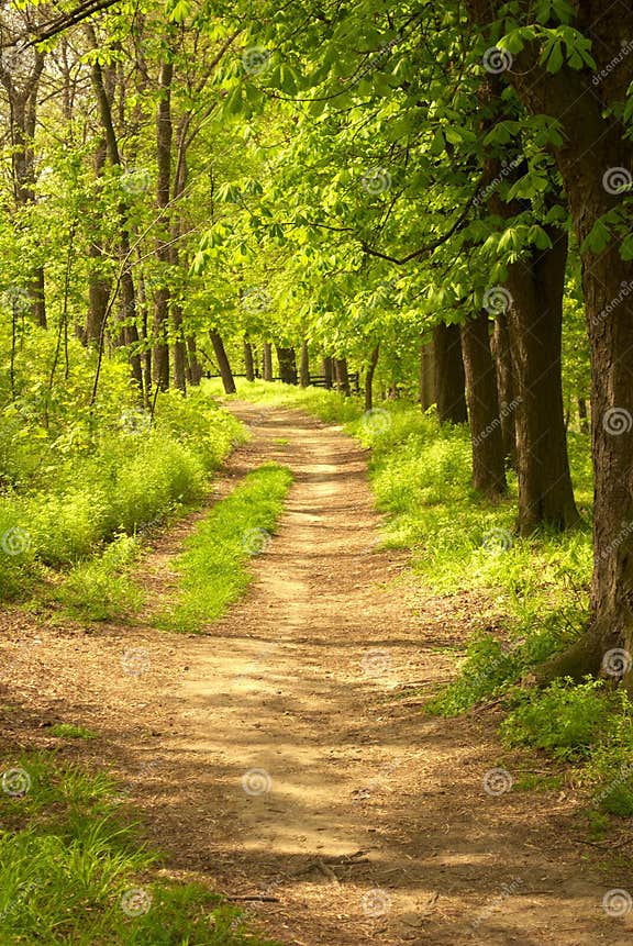 Pathway in countryside stock photo. Image of peaceful - 9196008