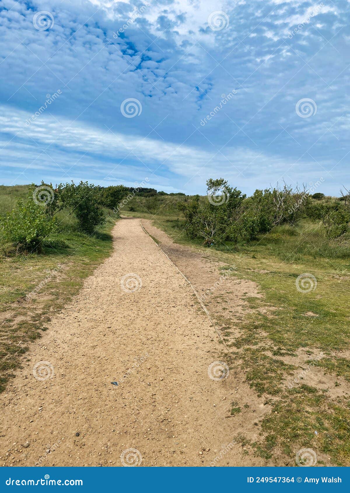 Pathway Covered with Sand Dunes with Blue Sky Stock Photo - Image of ...