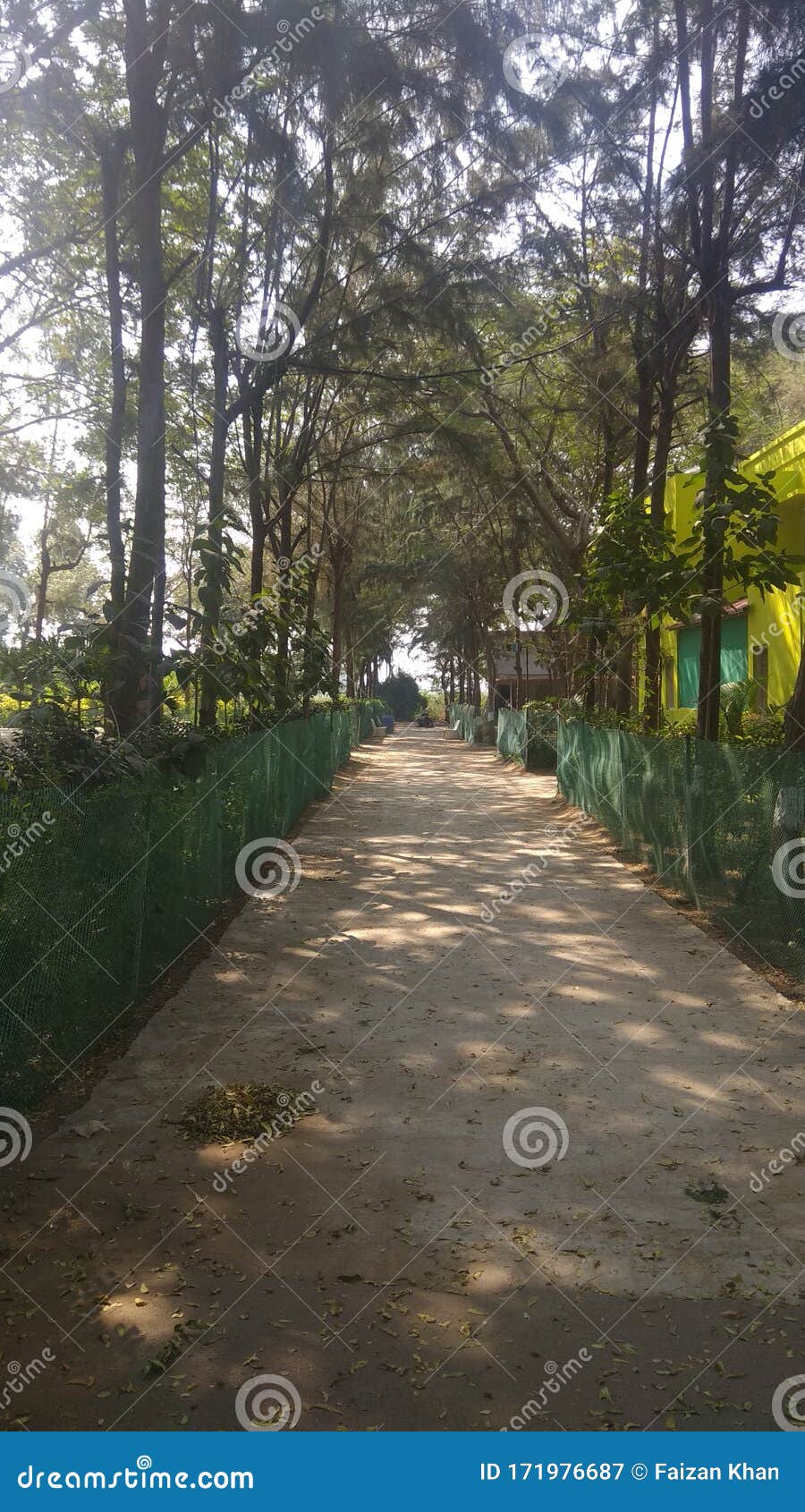 Pathway Covered with Trees and Greenery Stock Image - Image of walk ...