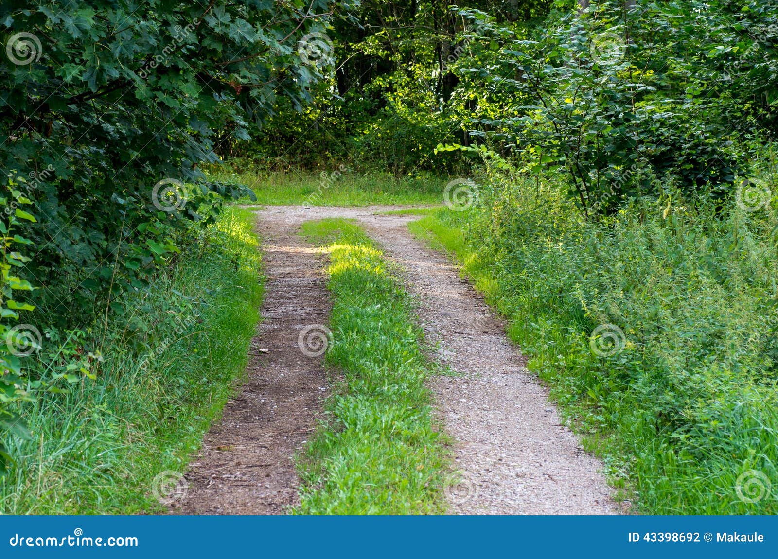 Pathway stock photo. Image of path, season, bright, color - 43398692