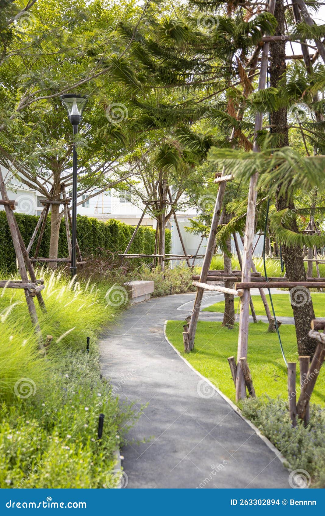 Pathway Curving through Lawn with Green Grass. Stock Photo - Image of ...