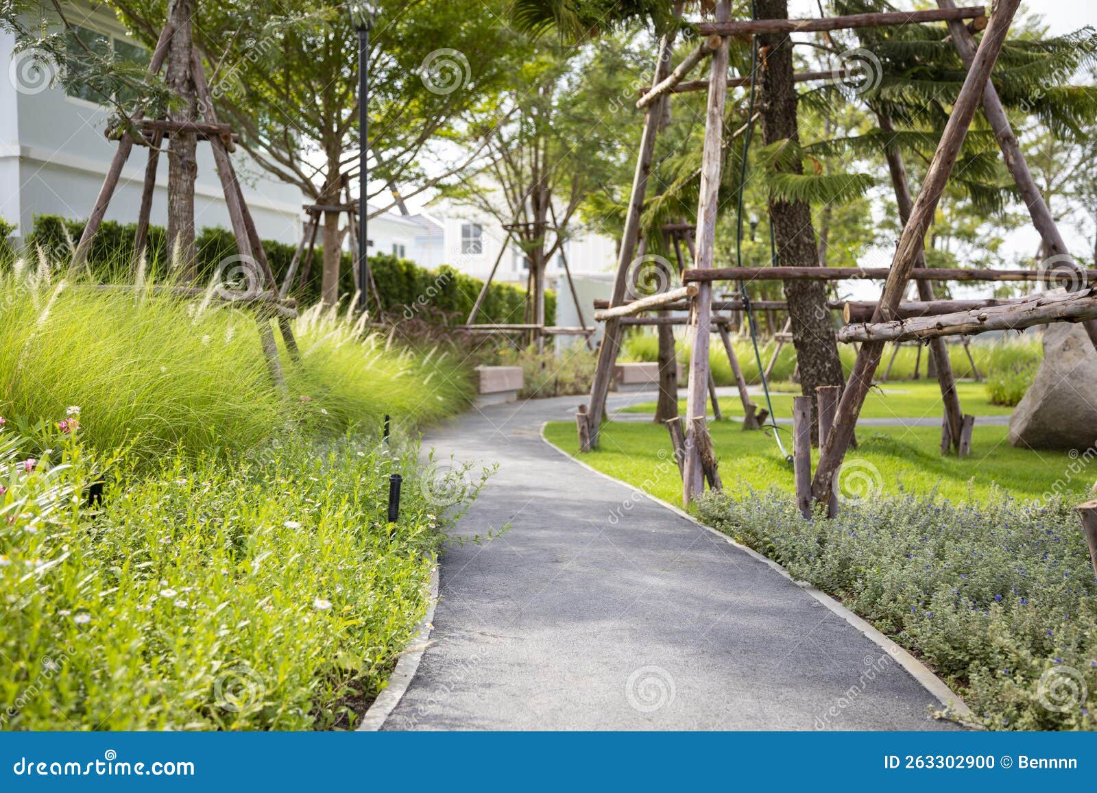 Pathway Curving through Lawn with Green Grass. Stock Photo - Image of ...