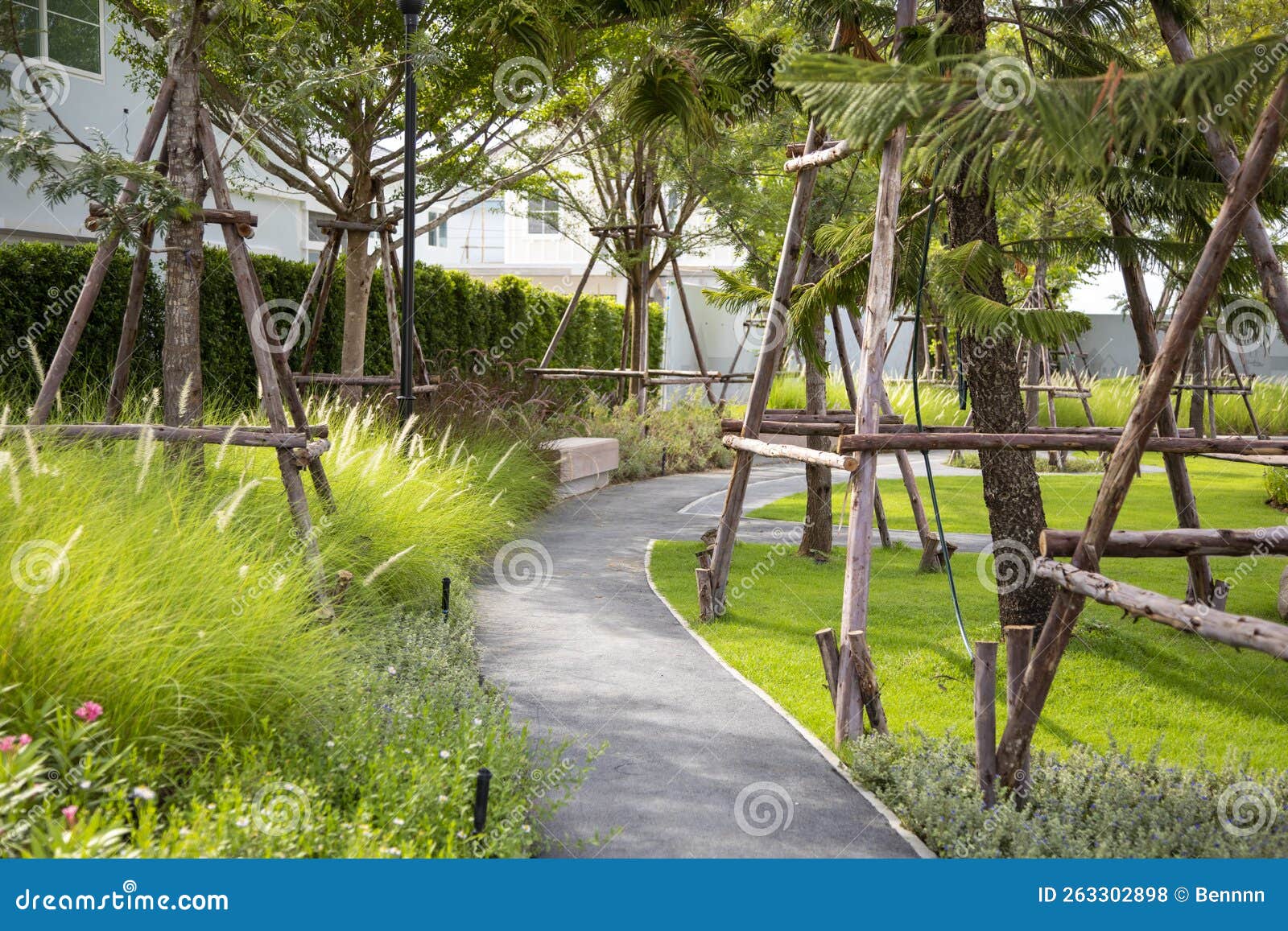 Pathway Curving through Lawn with Green Grass. Stock Photo - Image of ...