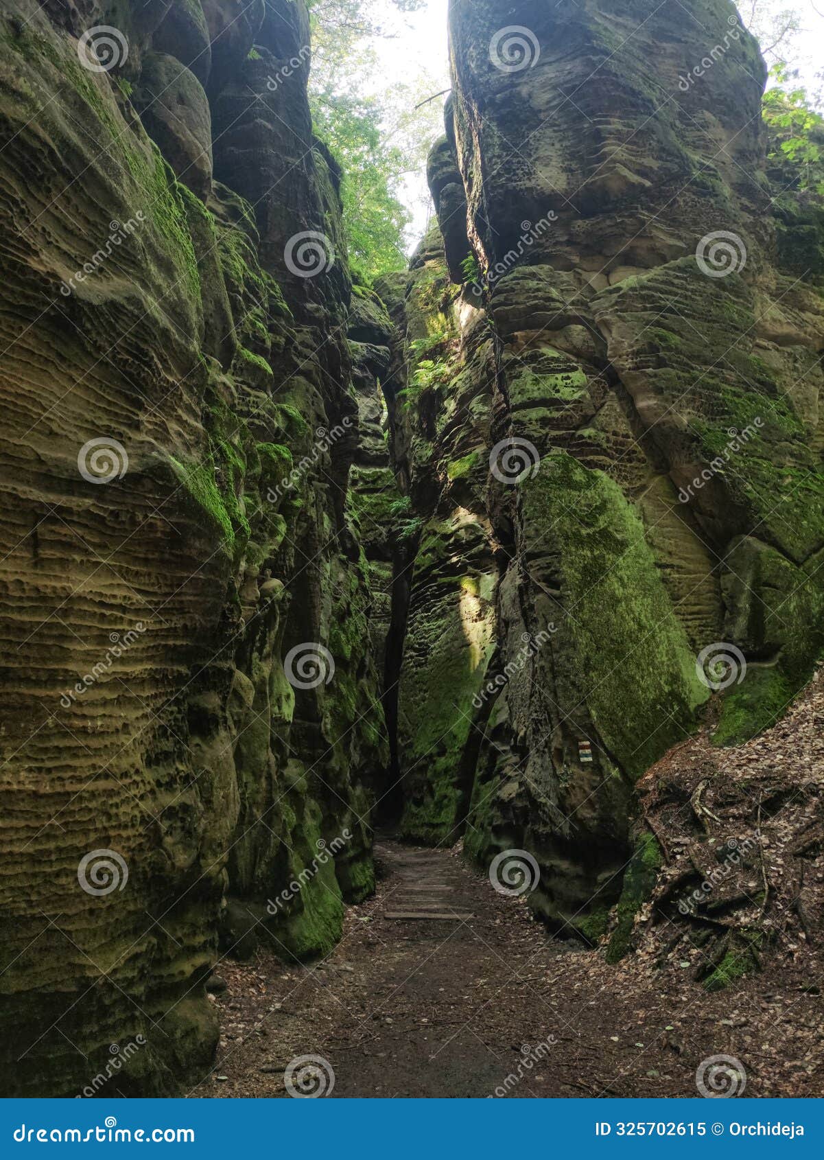 A Pathway Cuts through Tall Sandstone Cliffs Covered in Moss and Green ...