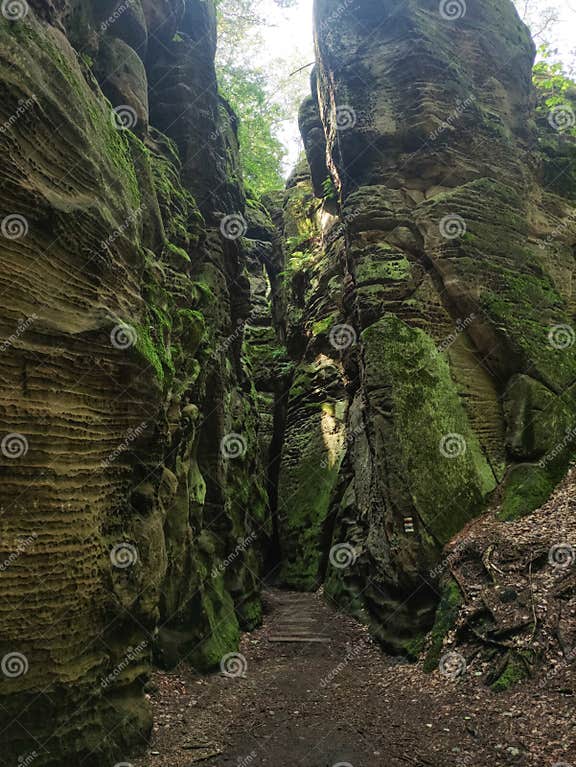 A Pathway Cuts through Tall Sandstone Cliffs Covered in Moss and Green ...