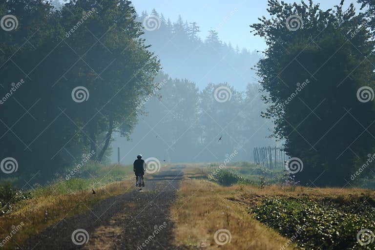 Forest Fire Effect on Rural Environment Stock Image - Image of exercise ...