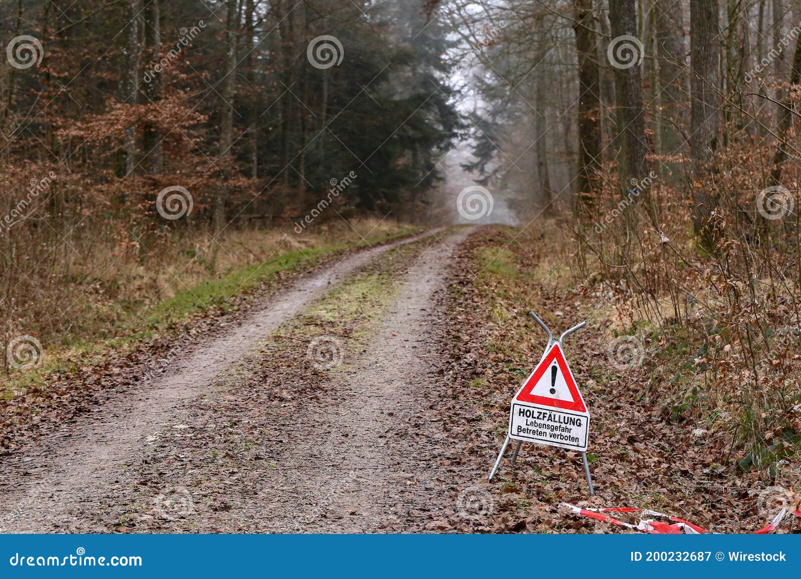 Pathway with a Danger Sign in the Forest Stock Image - Image of warning ...