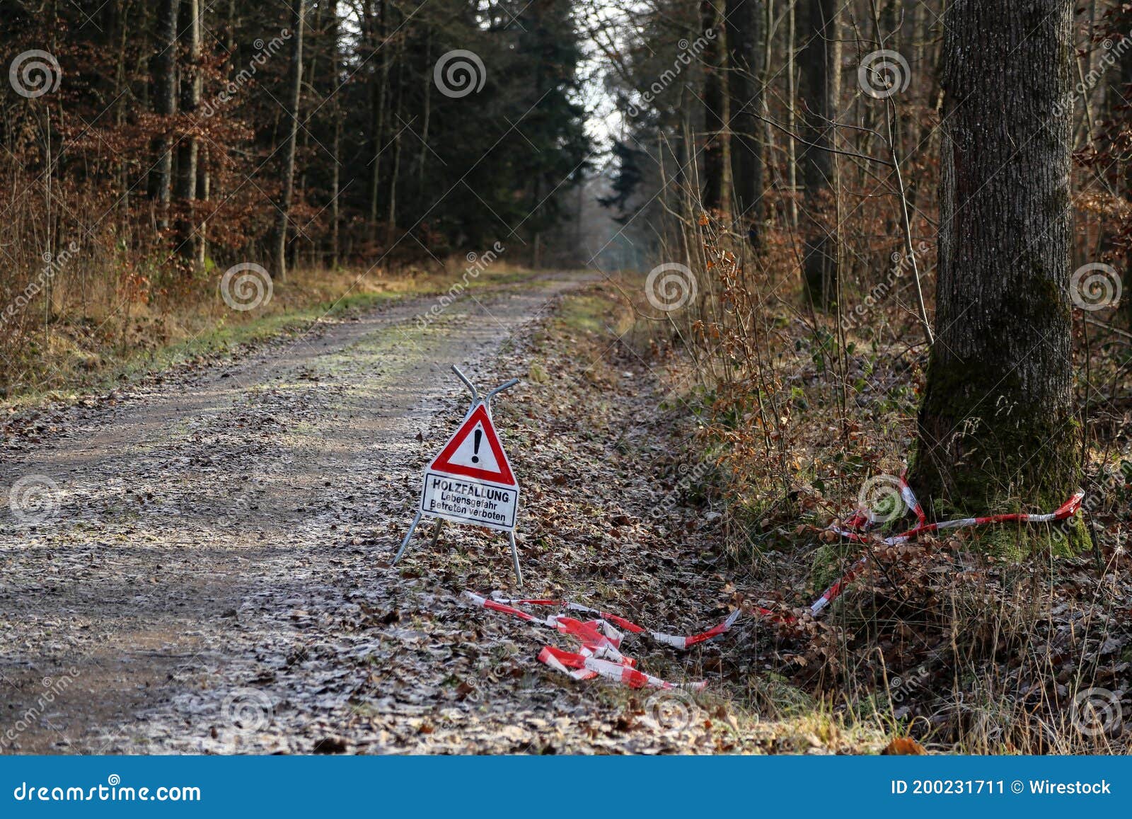 Pathway with a Danger Sign on the Side in the Forest Stock Image ...