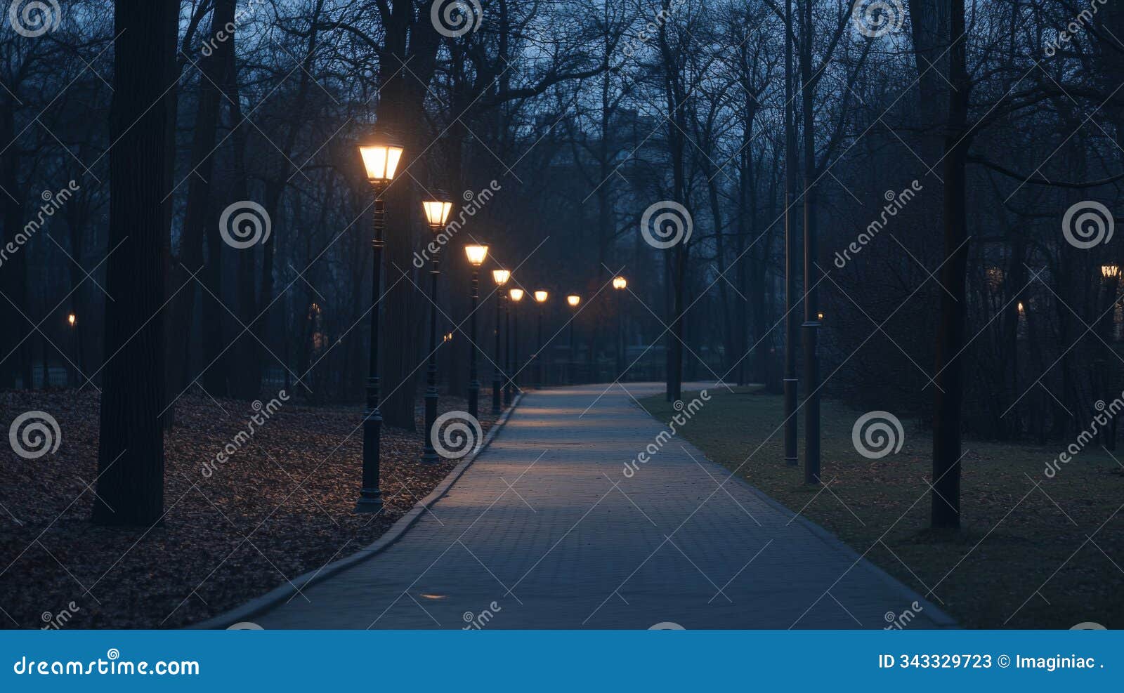 A Pathway through a Dark Forest Lit by Streetlights Stock Illustration ...